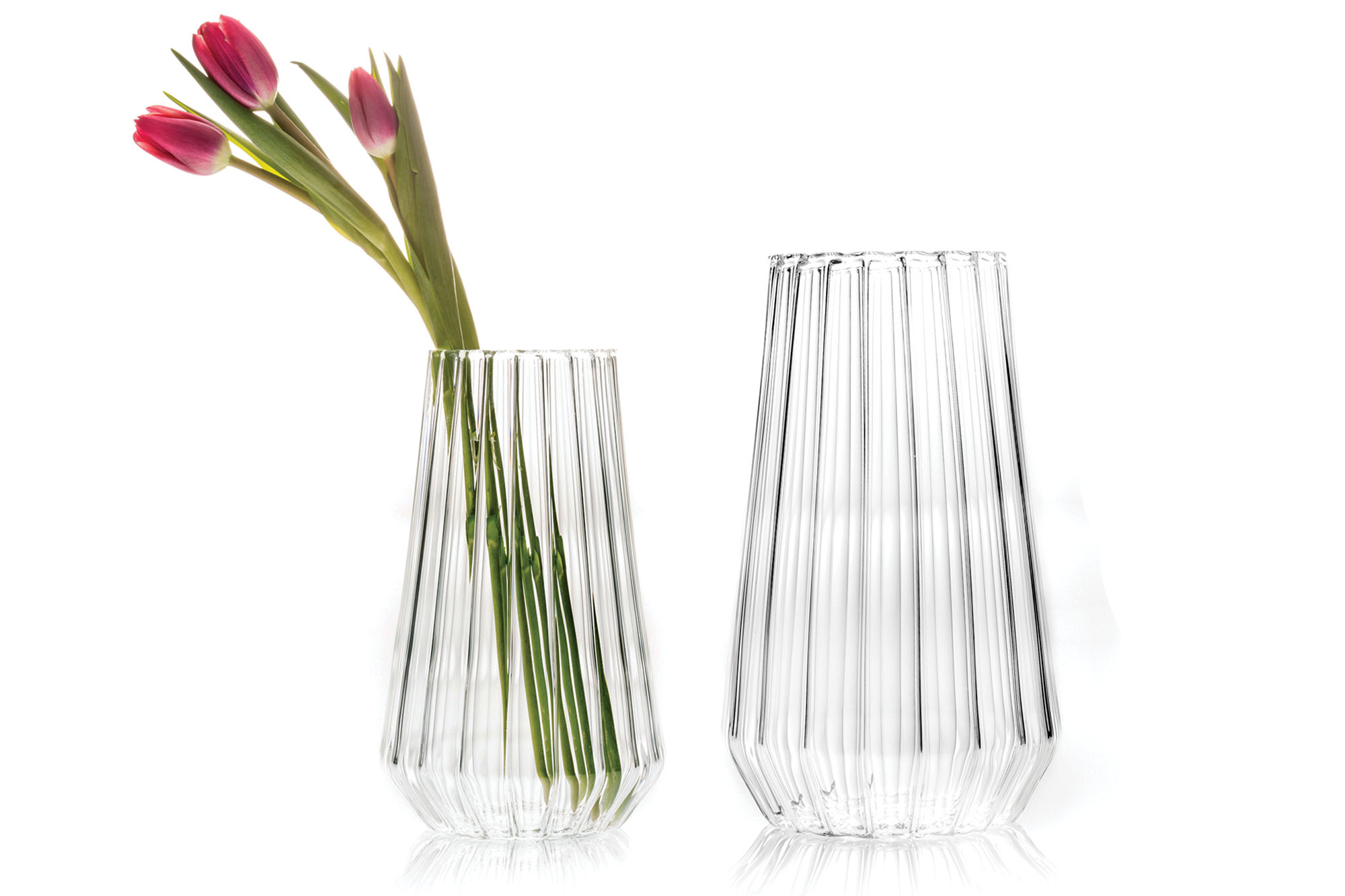 Vase Study | Moffly Media