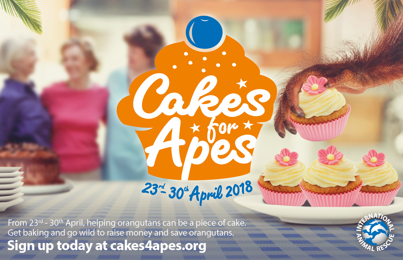 Cake for Apes | Moffly Media