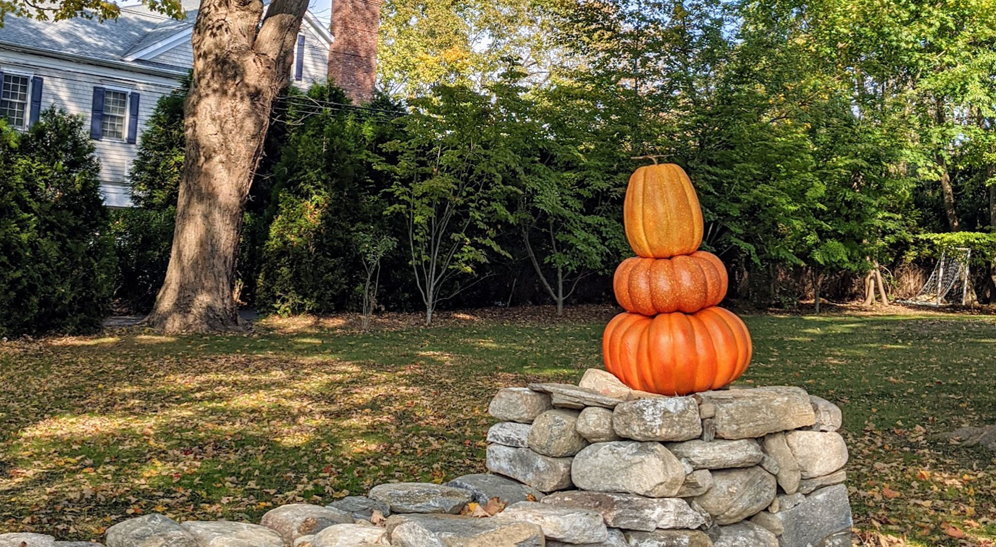 24 Fun Fall Activities in Fairfield County, CT [2024] | Moffly Media