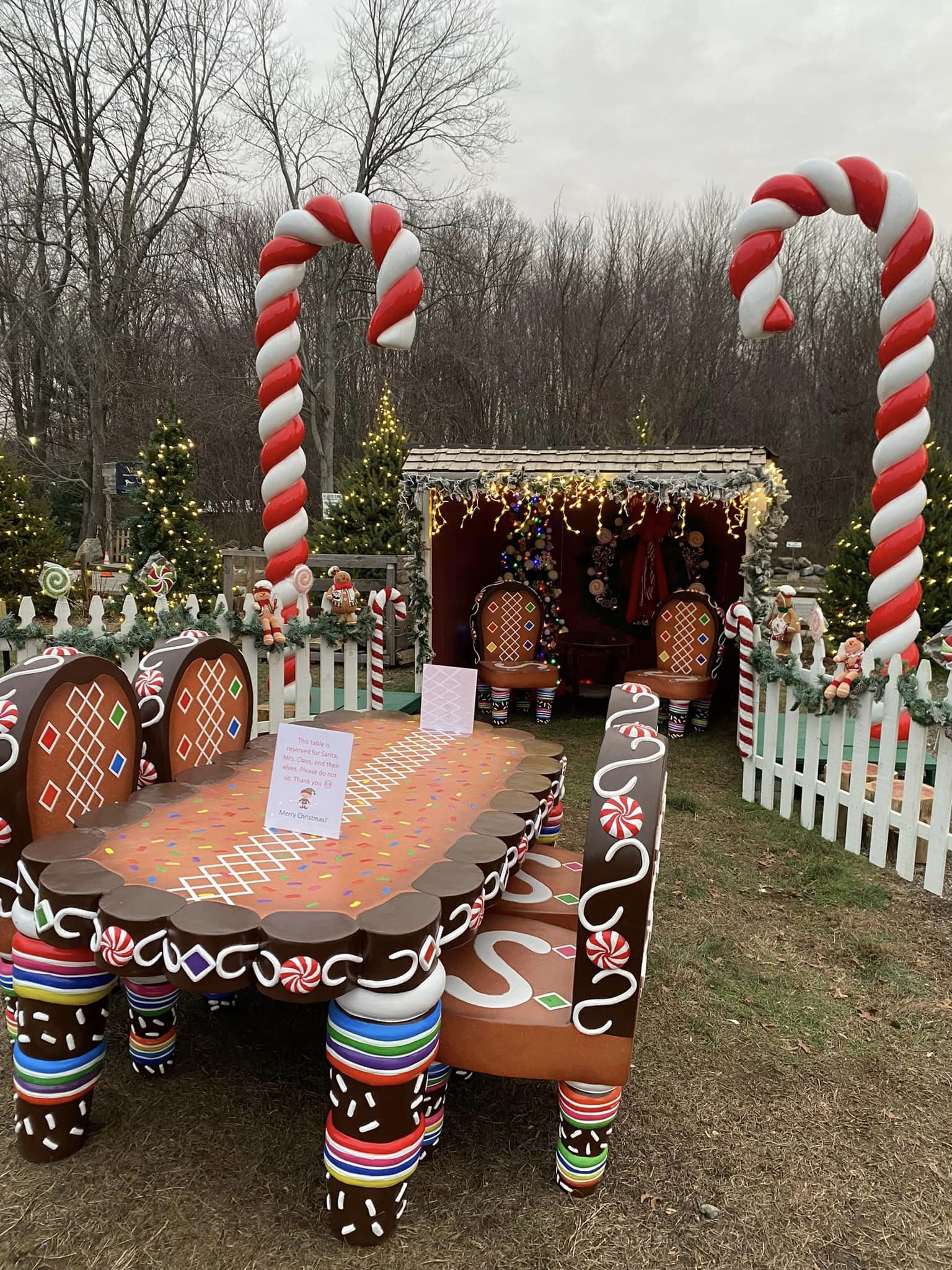 7 Top Christmas Tree Farms in Connecticut To Visit This Season | Moffly ...