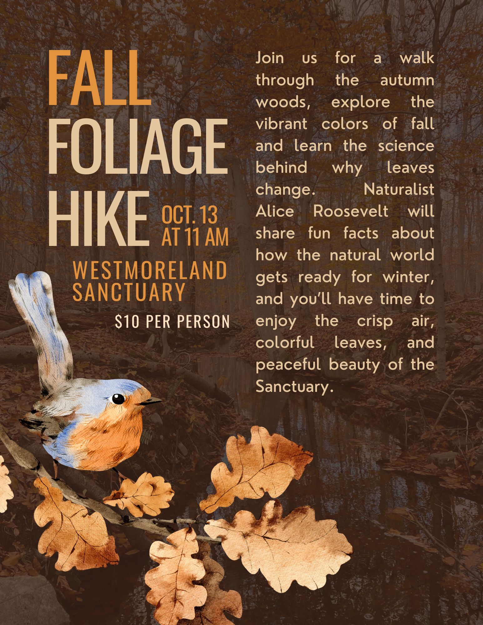 Fall Foliage Hike | Moffly Media